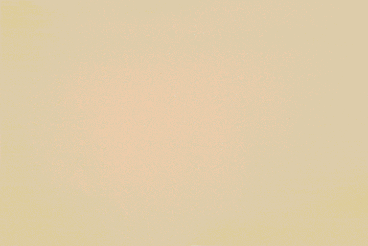 About: CirC Energy Bites